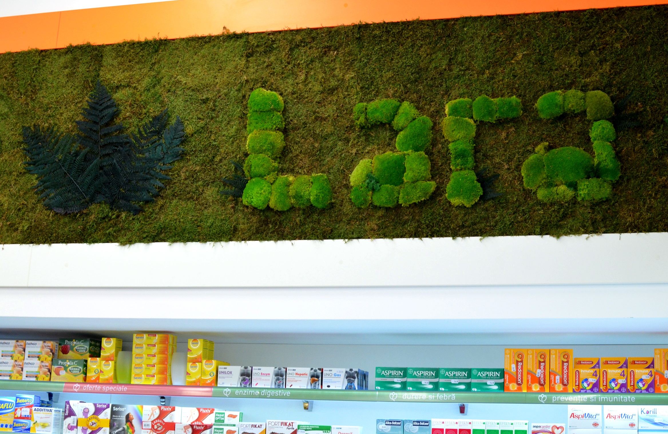 Farmacia Lara Farm